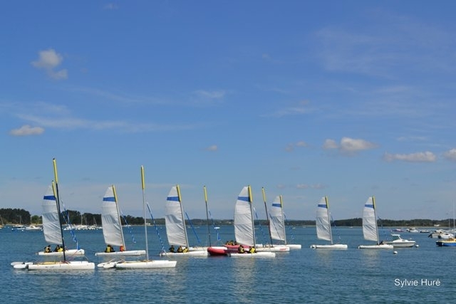 En images - Île-Tudy - Site officiel de la commune